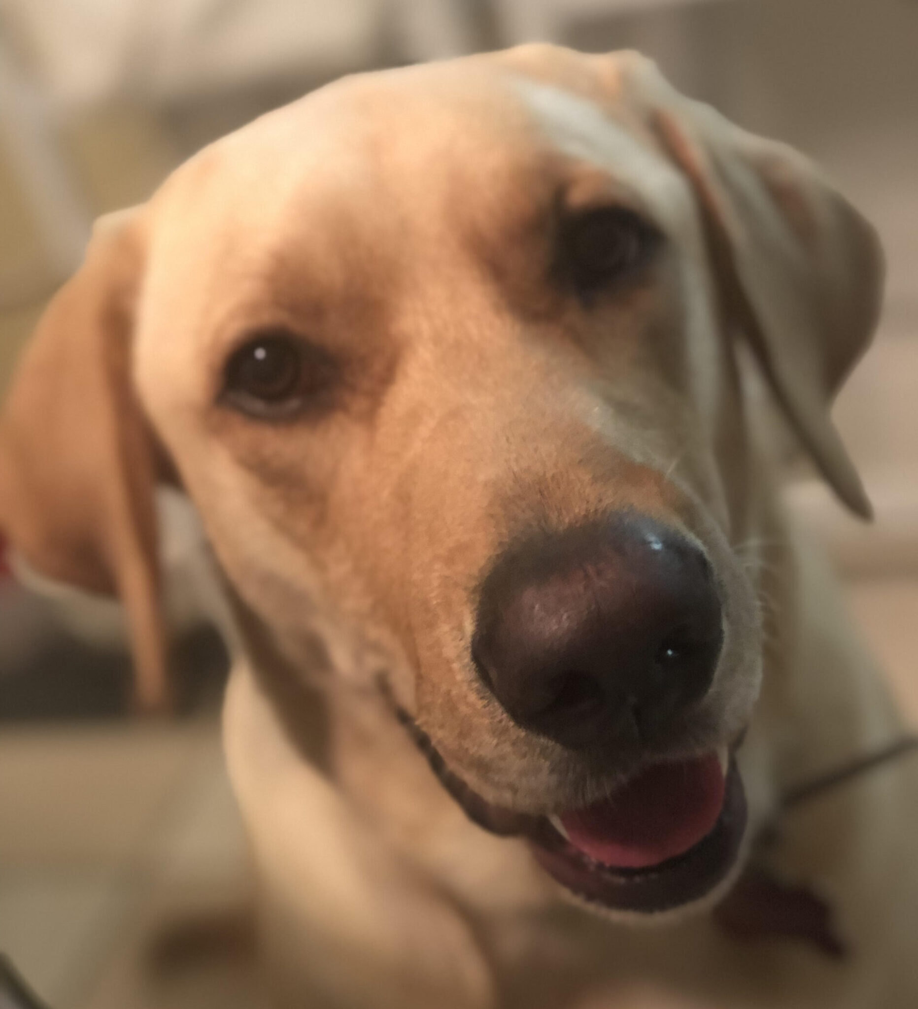 Front Page - myreferralbroker.com